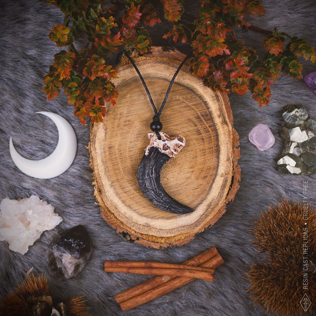 Werewolf Claw Necklace, Resin Cast Replica Hand Painted, Fantasy Shaman ...