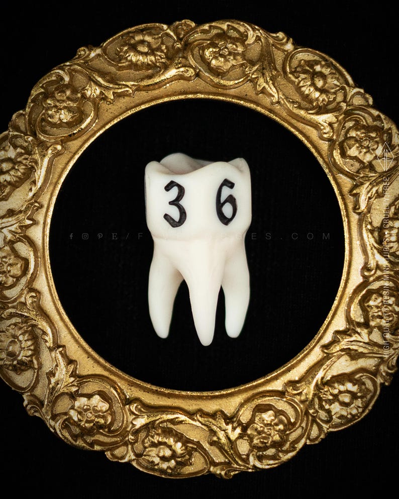 Realistic Molar Tooth D6 Dice, Resin Necromancer Dice for RPG, Horror ...