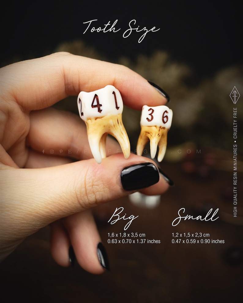 Realistic Molar Tooth D6 Dice, Resin Necromancer Dice for RPG, Horror ...