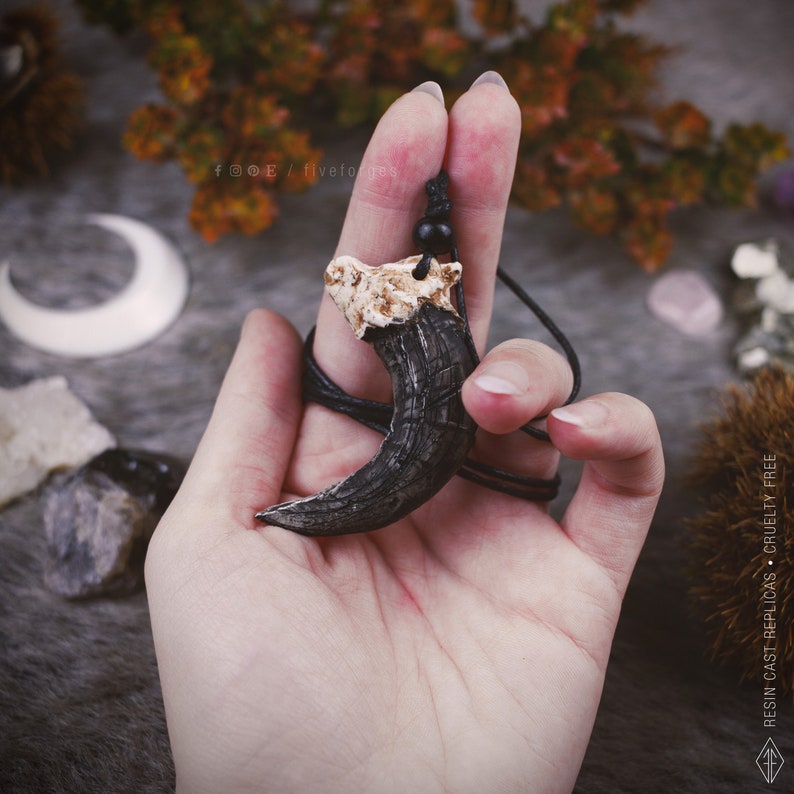 Werewolf Claw Necklace, Resin Cast Replica Hand Painted, Fantasy Shaman ...