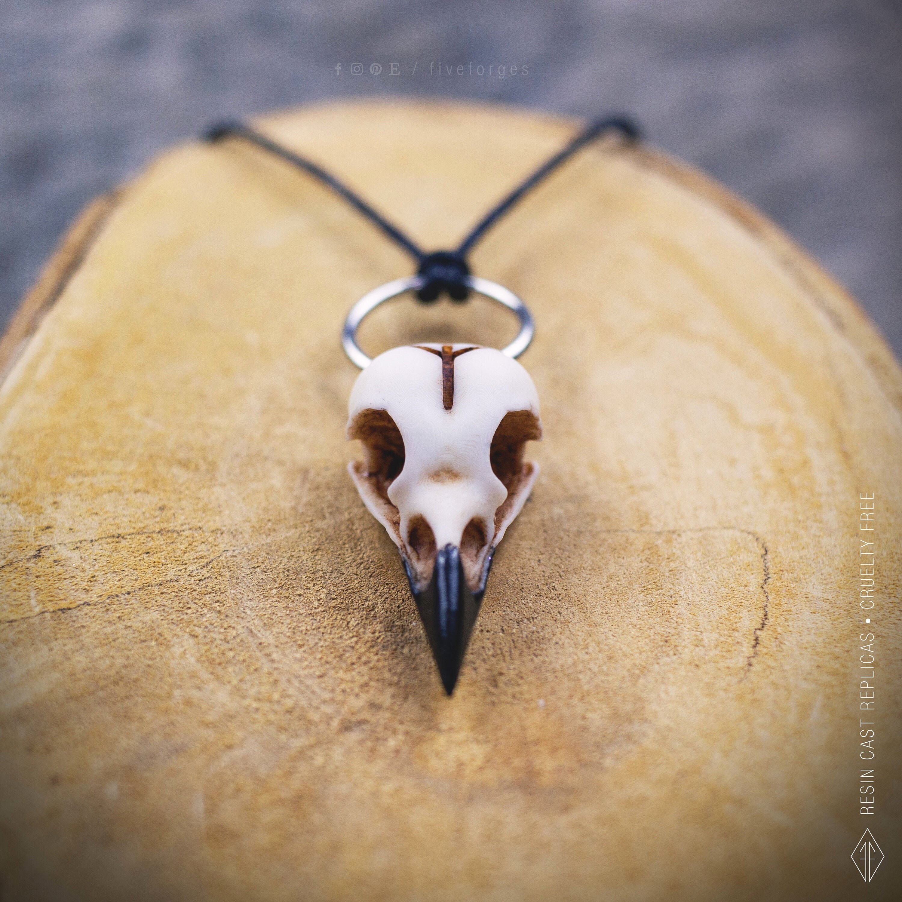 Crow Skull with custom Rune resin replica hand painted | Etsy