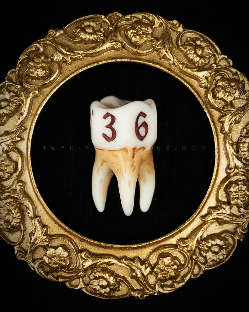 Realistic Molar Tooth D6 Dice, Resin Necromancer Dice for RPG, Horror ...