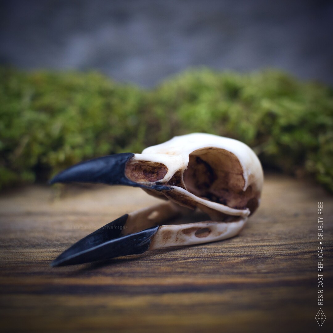 Crow Skull With Moving Jaw Necklace, Resin Replica Hand Painted, Gothic ...