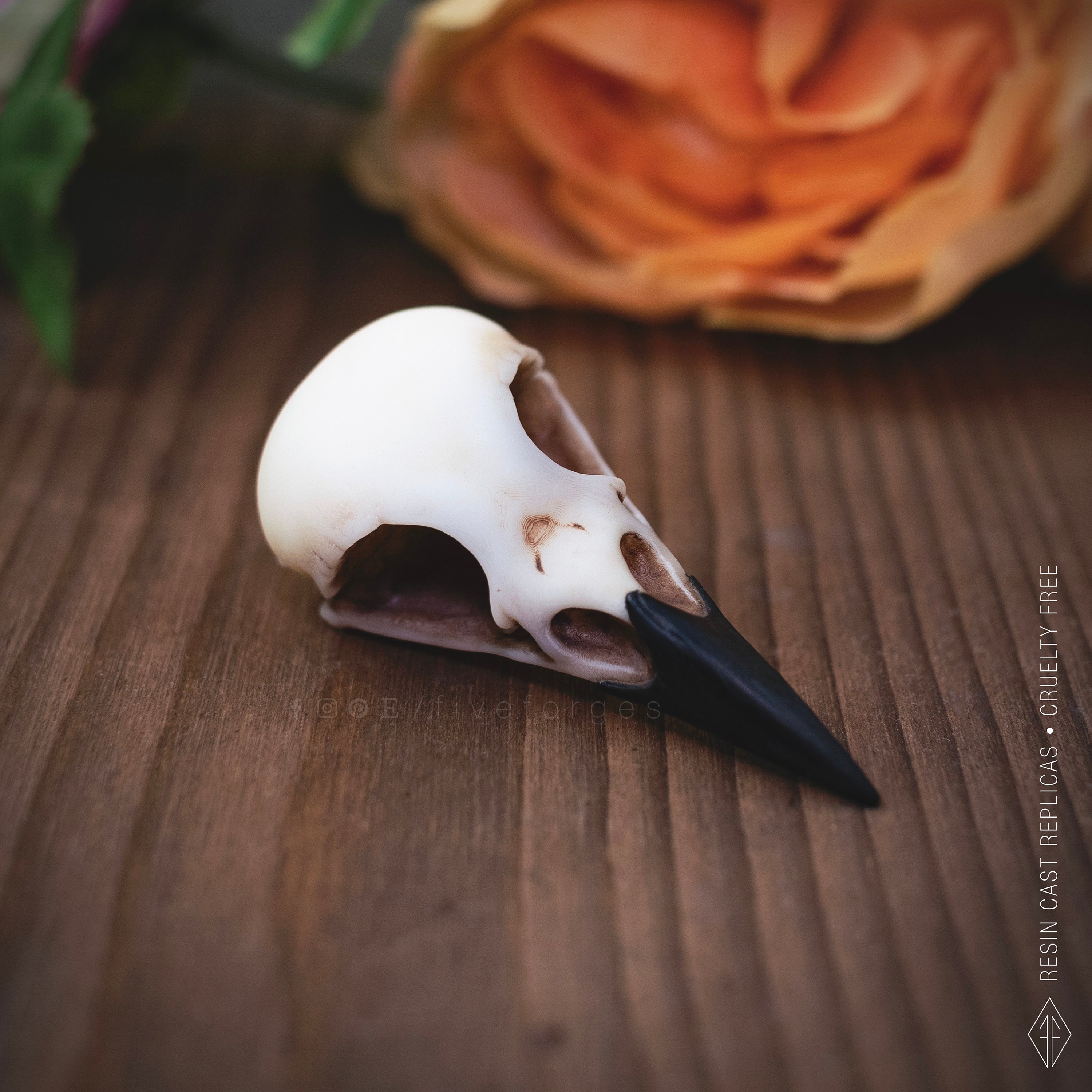 Crow Skull Brooch Pin, Resin Replica Hand Painted, Viking Gothic ...
