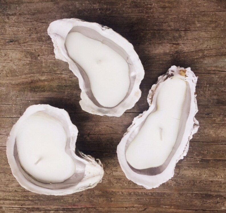 Oyster Shell Candles - Set of 3 Vanilla Cardamon - Etsy