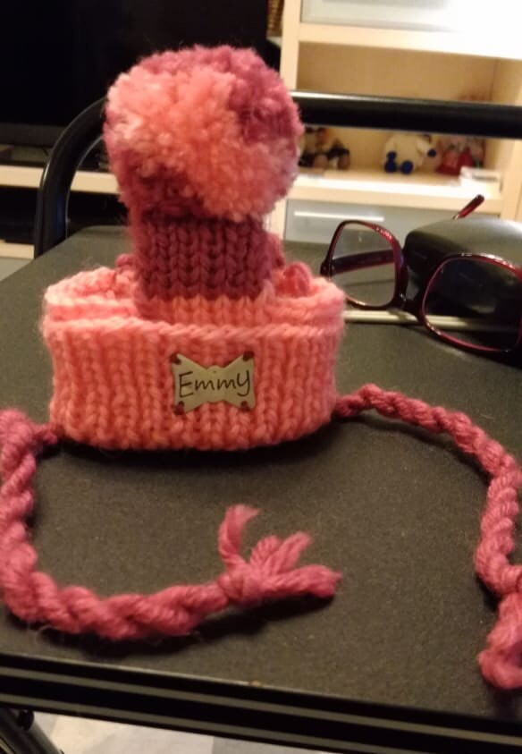 Handmade Dog Clothes Knitted Dress for Dogs Knitting Dog Set - Etsy