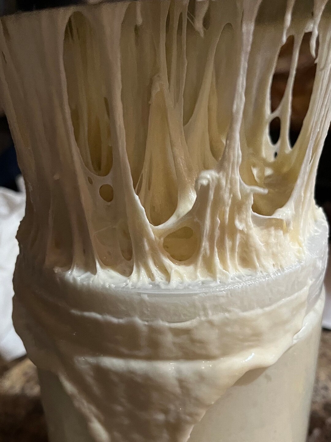 Sourdough Starter-deydrated and Very Active - Etsy
