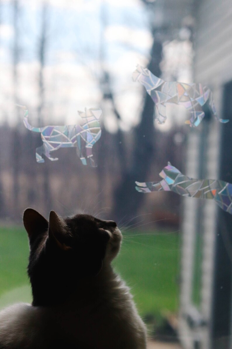 Cat Sun Catcher Rainbow Maker Window Cling Set of 8 - Etsy
