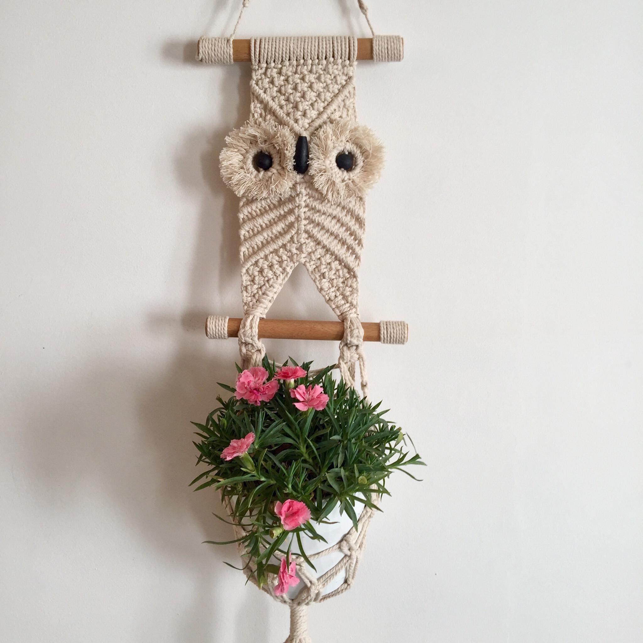 Macrame Owl Plant Hanger. - Etsy