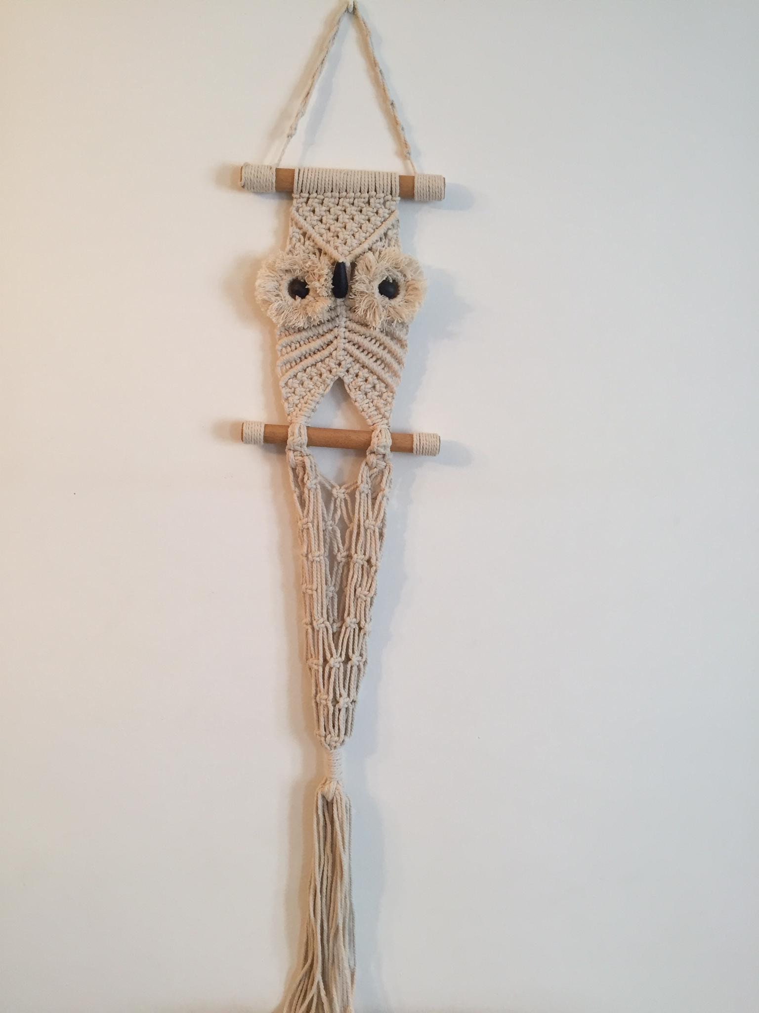 Macrame Owl Plant Hanger. - Etsy