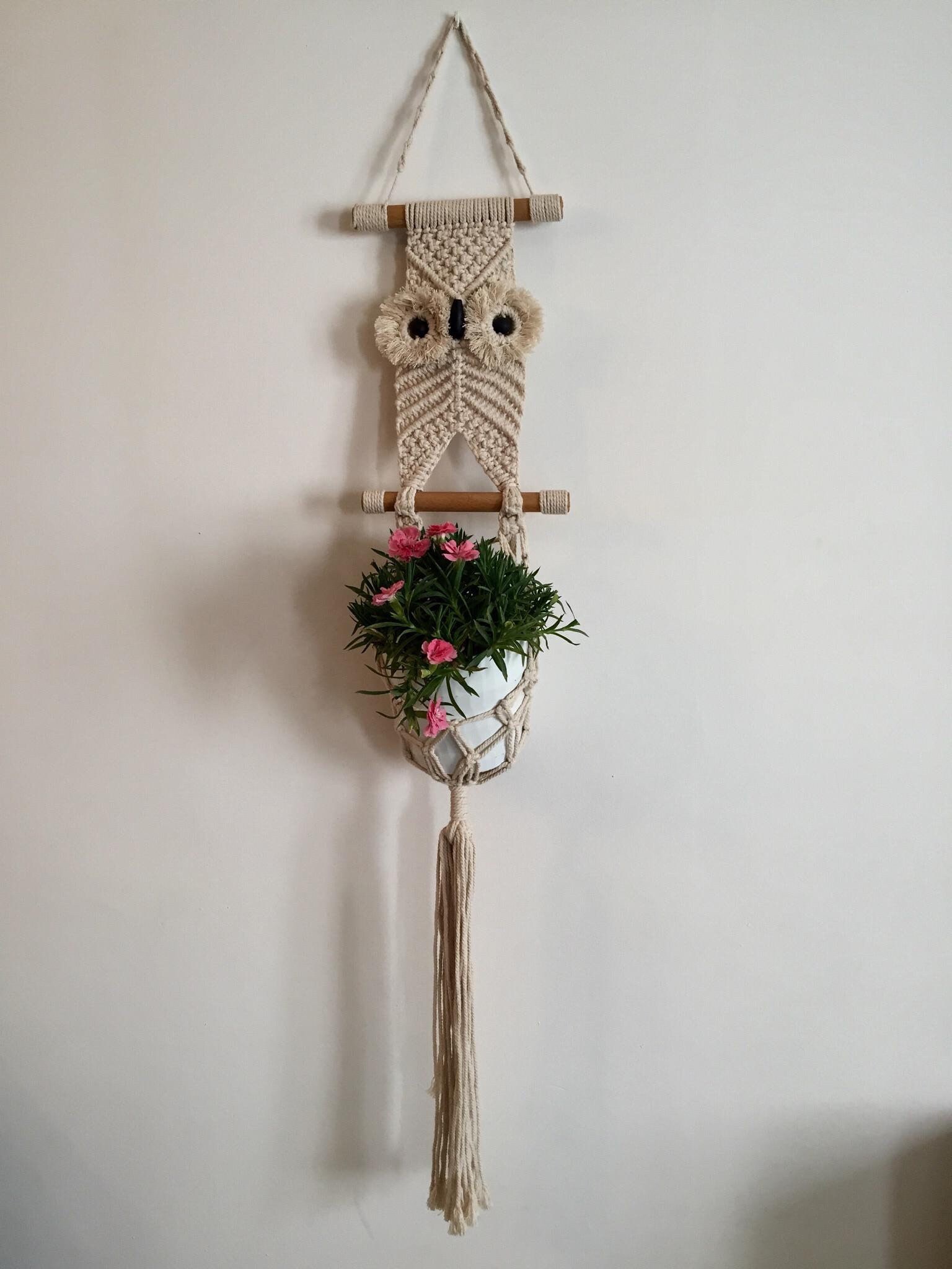 Macrame Owl Plant Hanger. - Etsy