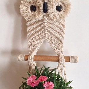 Macrame Owl Plant Hanger. - Etsy
