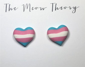 Autosexual Pride Flag Heart Stud Polymer Clay Earrings - Etsy