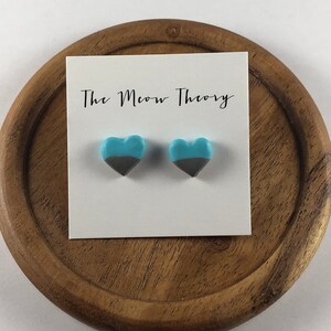 Autosexual Pride Flag Heart Stud Polymer Clay Earrings - Etsy