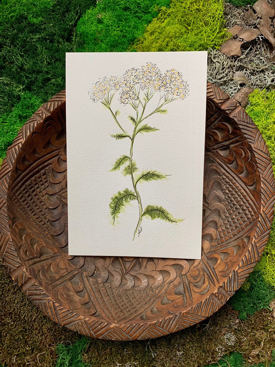 Yarrow Art Print, Watercolour Botanical Series by Art Soap Life, Made ...