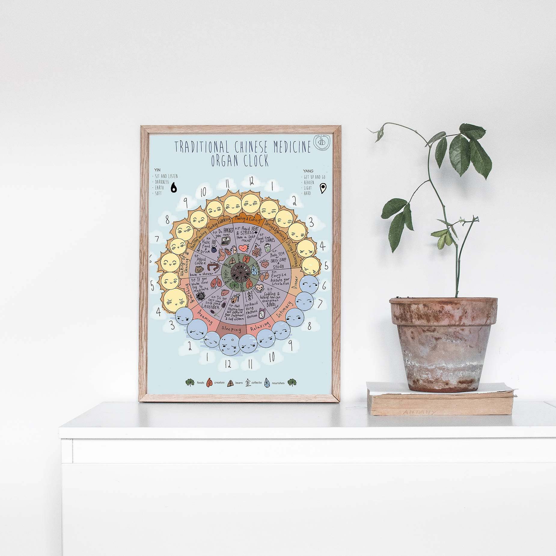 TCM, Organ Clock, Chinese Medicine, Infographic, Poster, Art Print ...
