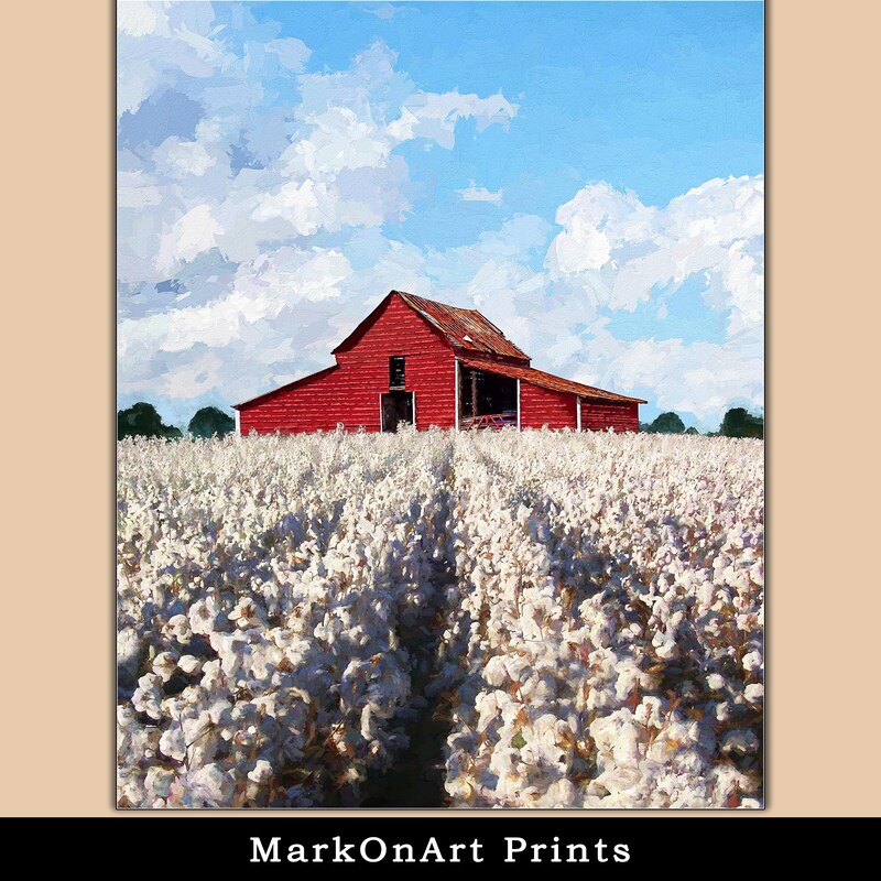 Cotton Fields - Etsy