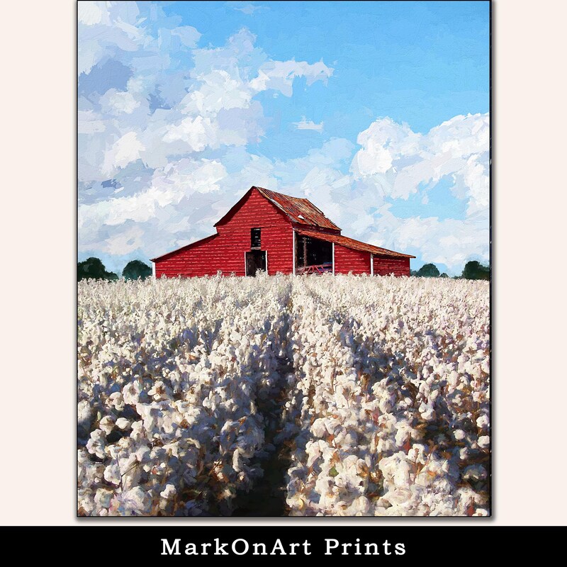 Cotton Fields - Etsy