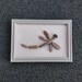 Pebble Art, Dragonfly, Pebbles Art, Pebble Picture, Rock Art, Stone Art ...