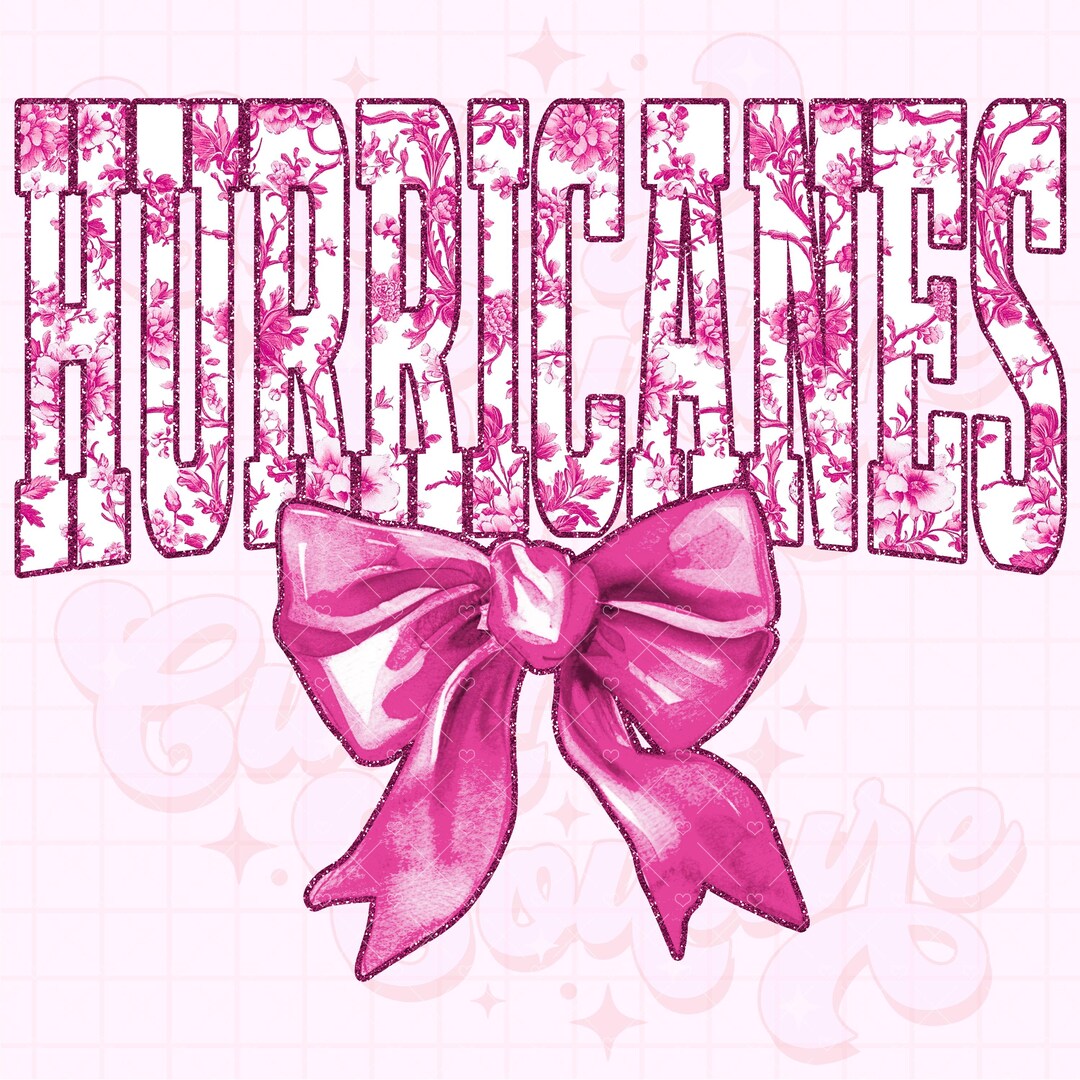 Hurricanes Png, Pink Toile Png, Hurricanes Sublimation, Hurricanes ...