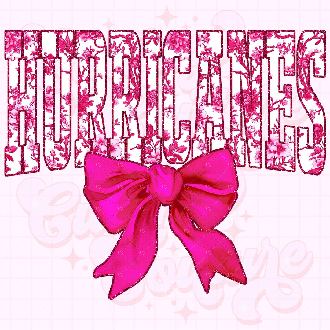 Hurricanes Png, Pink Toile Png, Hurricanes Sublimation, Hurricanes ...