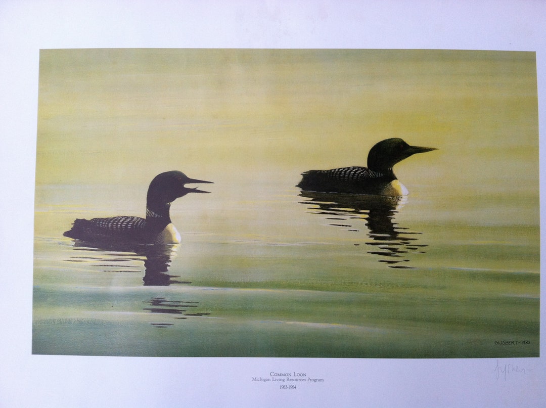Print of Loons Signed FREE SHIPPING - Etsy