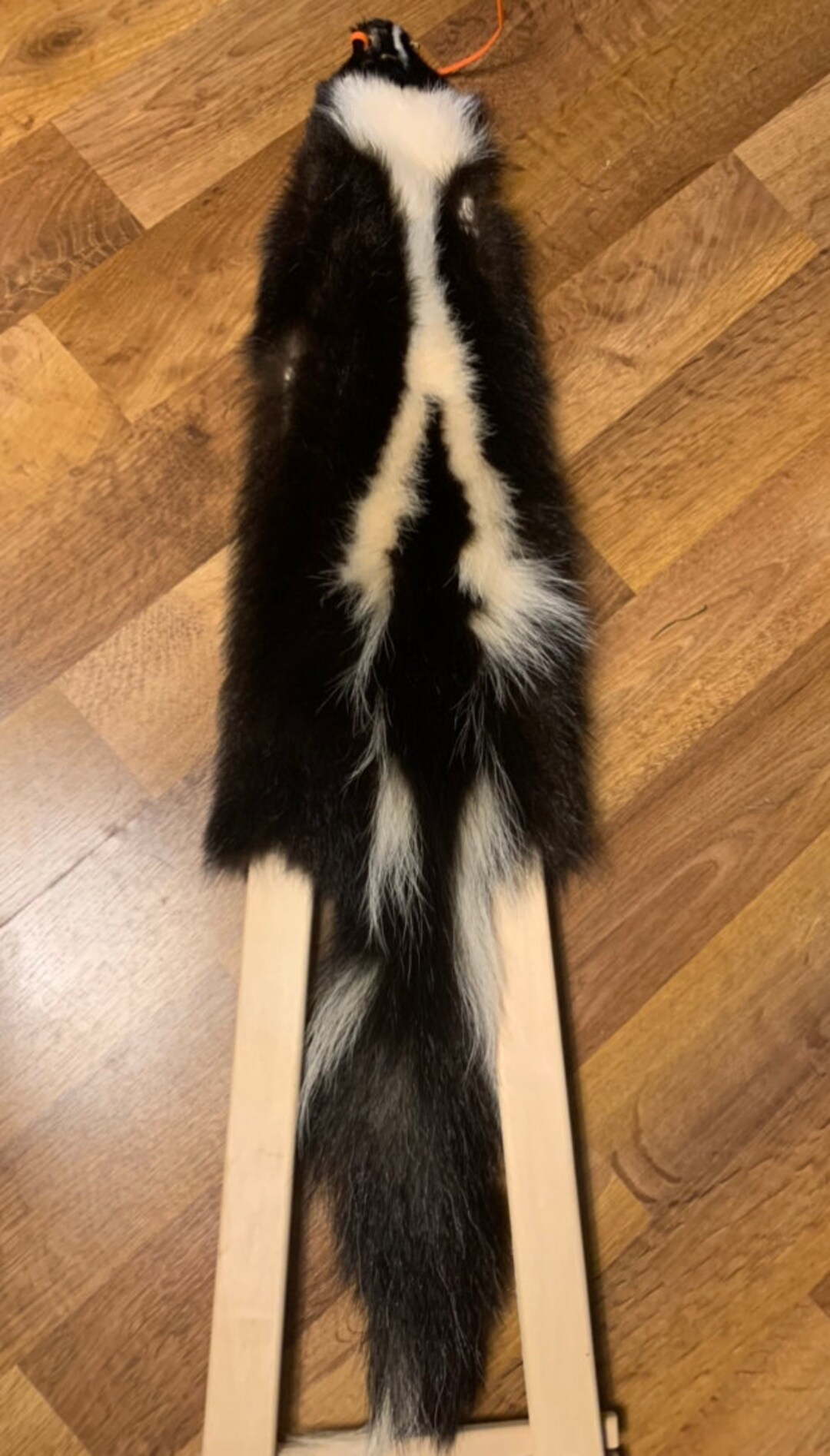 Skunk Pelt GA23-07 - Etsy