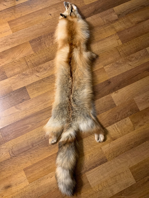 Red Fox Pelt BHFRF22-02 - Etsy