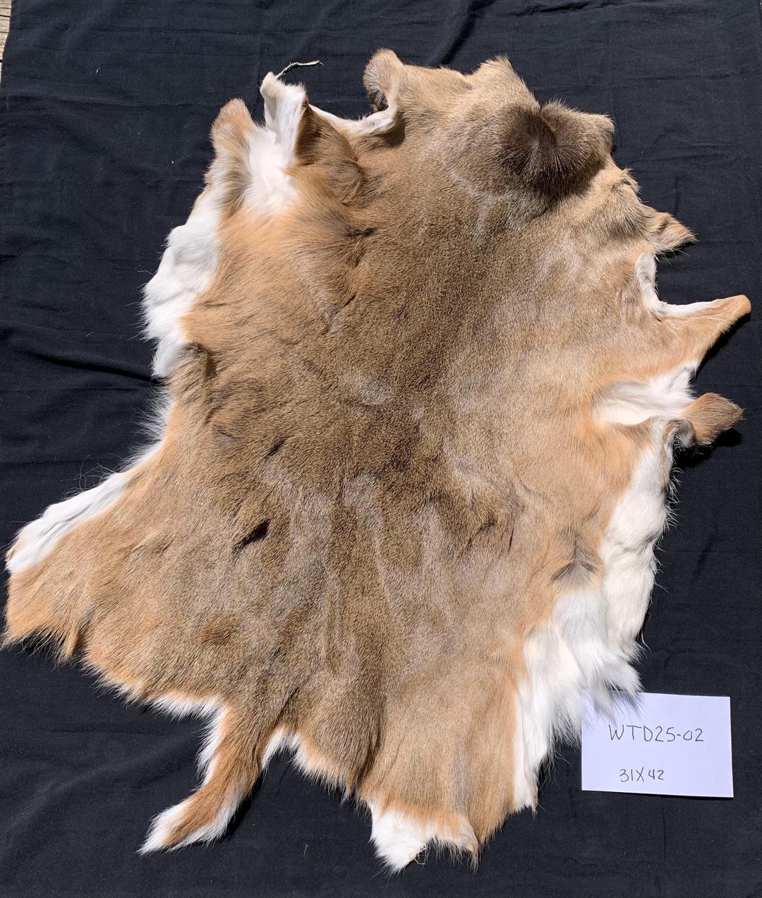 Deer Pelt Tanned WTD25-02 - Etsy