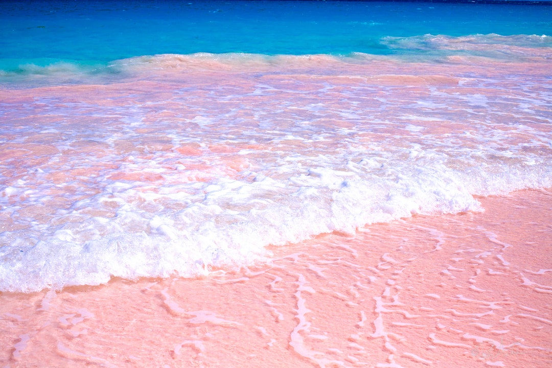 Beach Lovers Paradise Pink Sands and Ocean Waves Eleuthera Bahamas - Etsy
