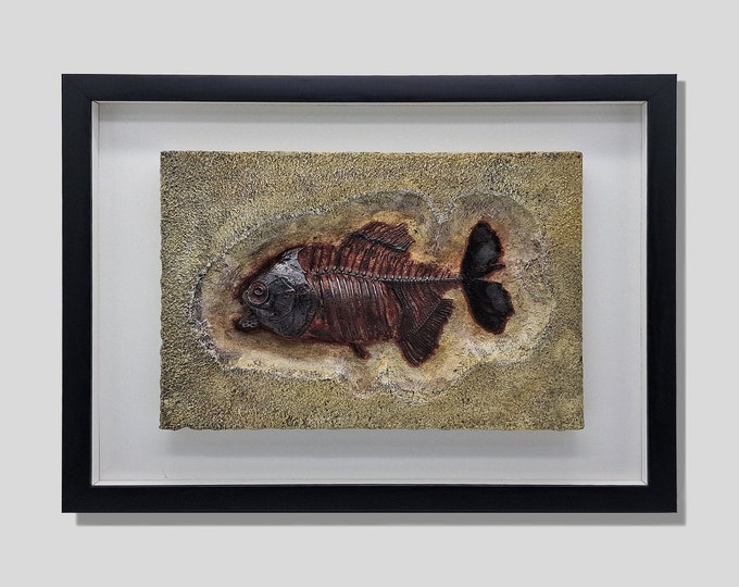 Piranha Fossil. Skeleton of an Ancient Predatory Toothed Fish. Framed ...