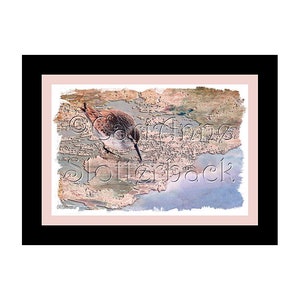 Printable Mixed Media Art dunlin Bird Photography, Nature Inspired Bird ...