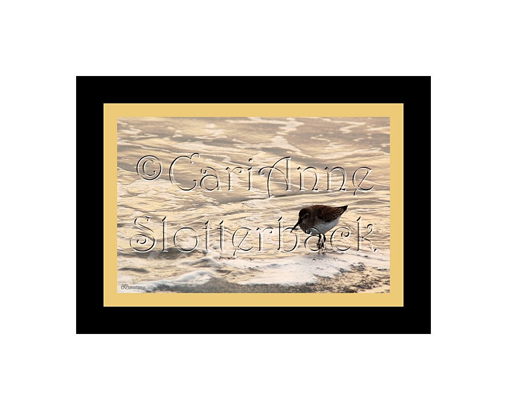 Printable Mixed Media Art wildlife Bird Photography Nature - Etsy