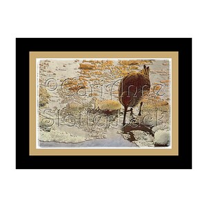 Printable Mixed Media Art wildlife Bird Photography, Nature Inspired ...