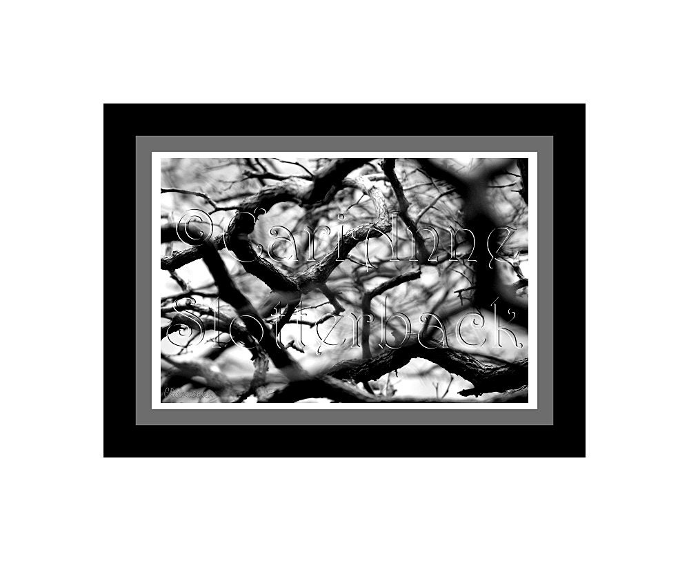 Printable Heart B&W Greeting Note Cards nature Photography - Etsy