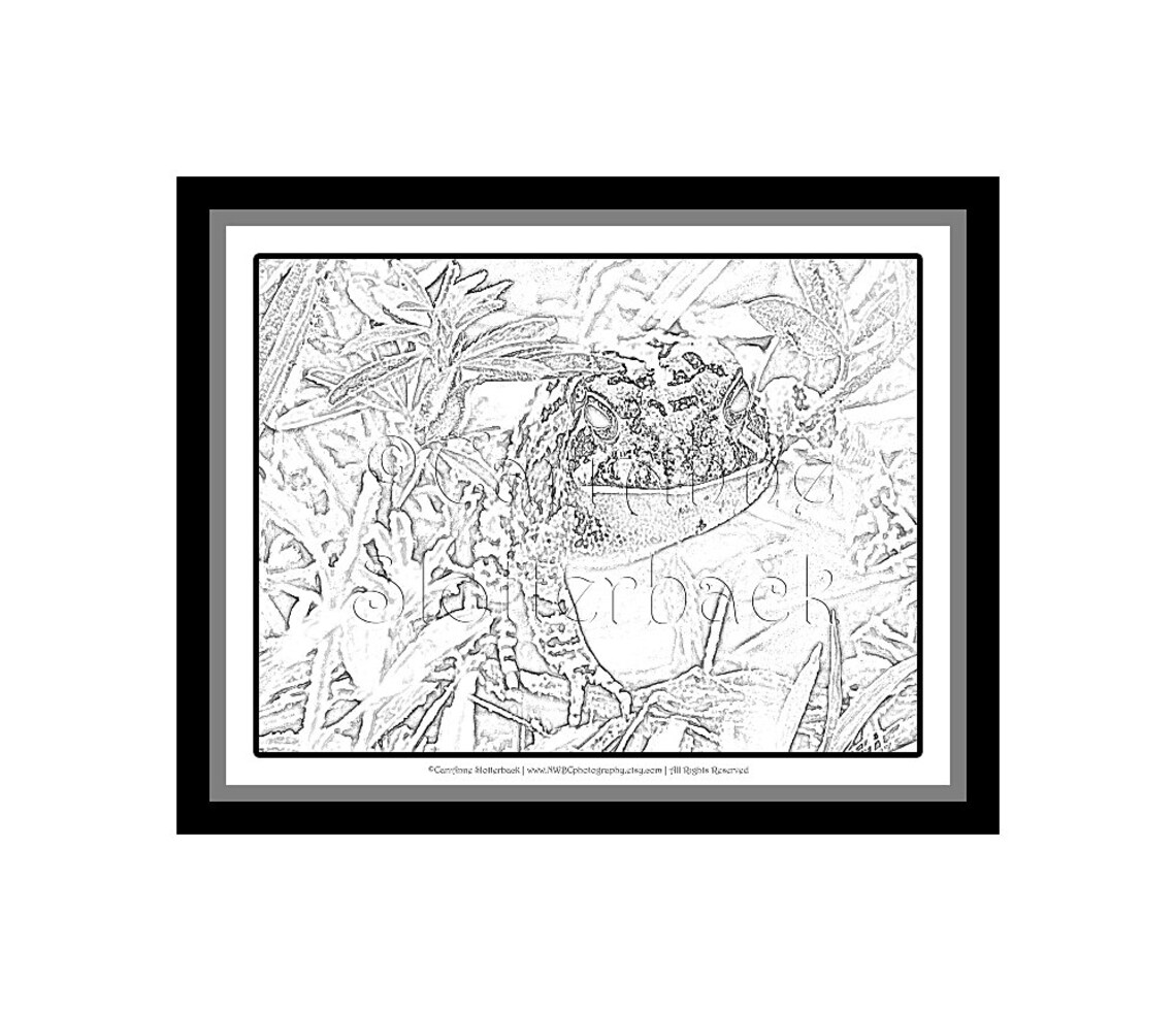 Printable Wildlife Coloring Page -wildlife Photography, Nature Inspired ...