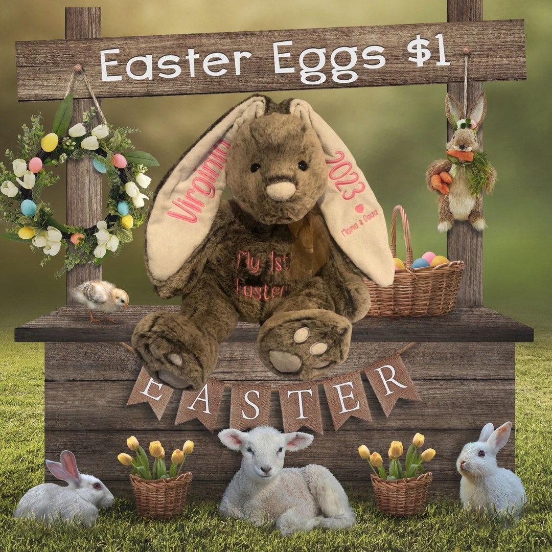 First Easter Bunny Customized Embroidery, Baby's First Easter Bunny, My ...