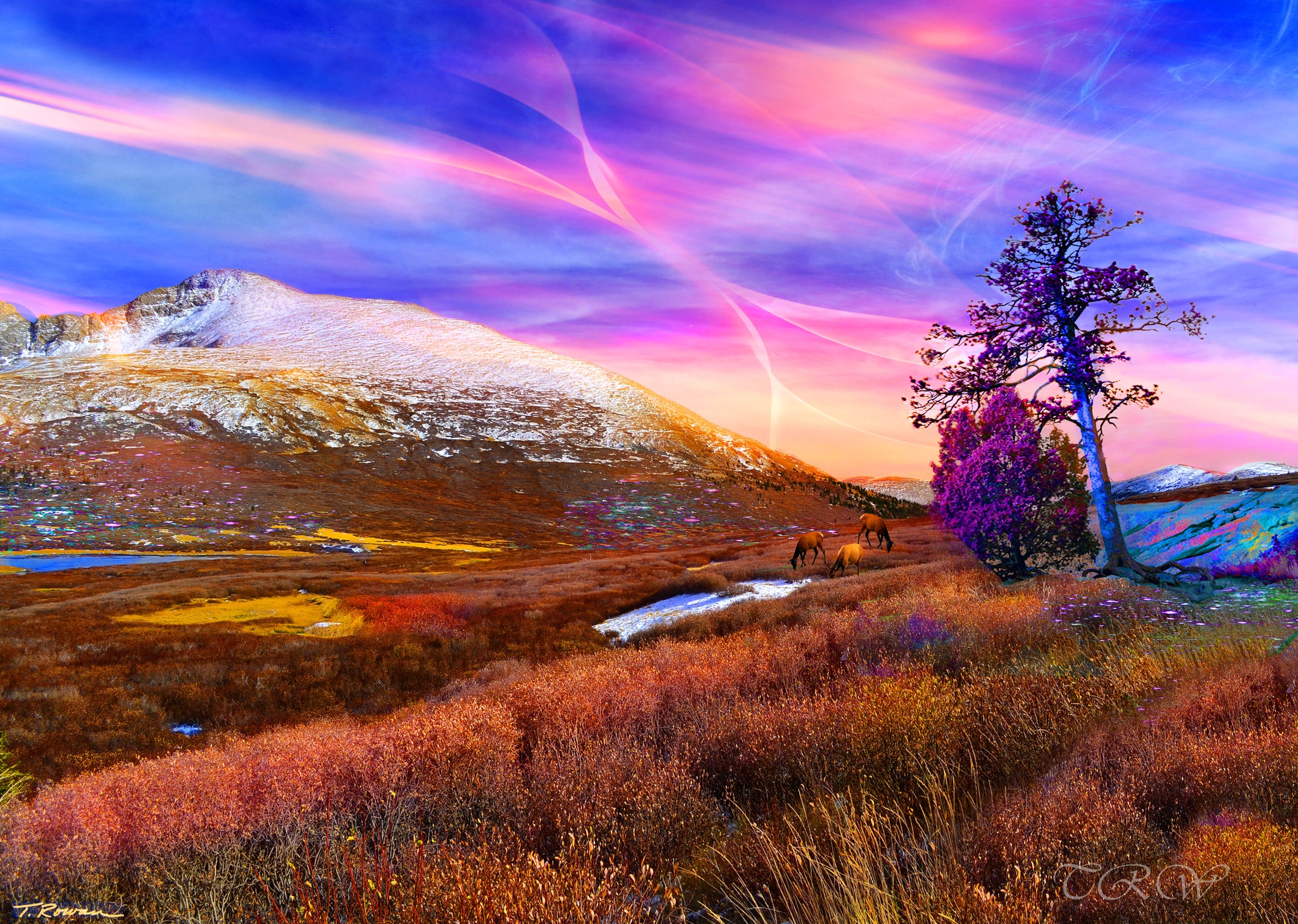 Aurora Colorado Scenery