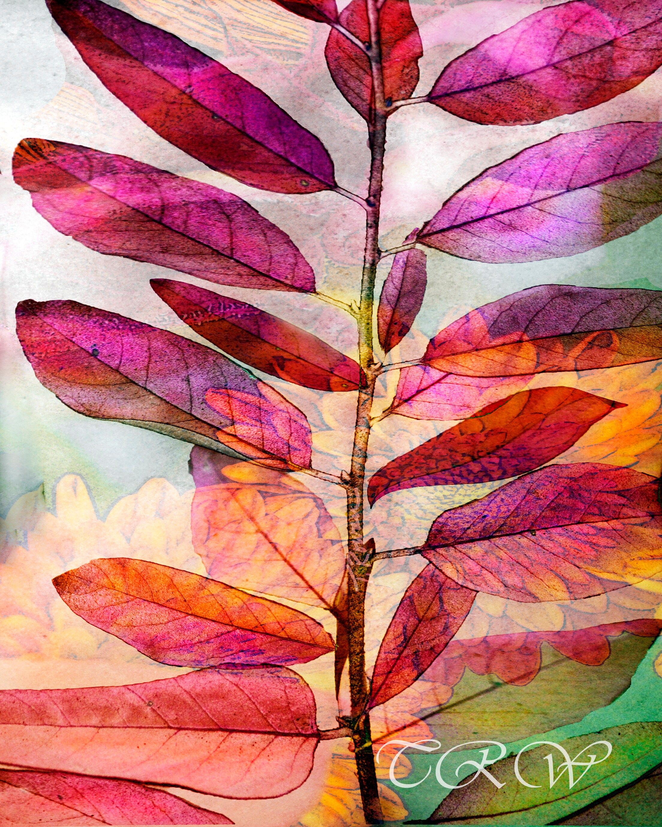 Pink Botanical Art Printlarge Metal - Etsy