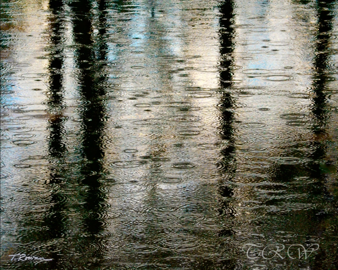 Rain Art,abstract Rain Photography,water Art,silver Office Art,abstract ...