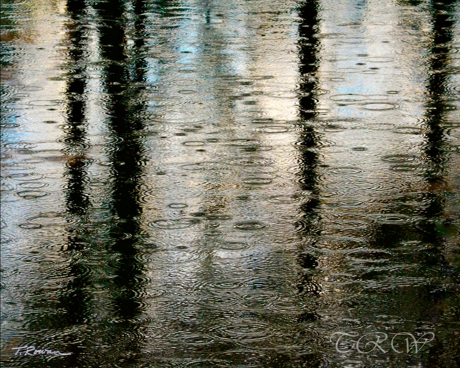 Rain Art,abstract Rain Photography,water Art,silver Office Art,abstract ...