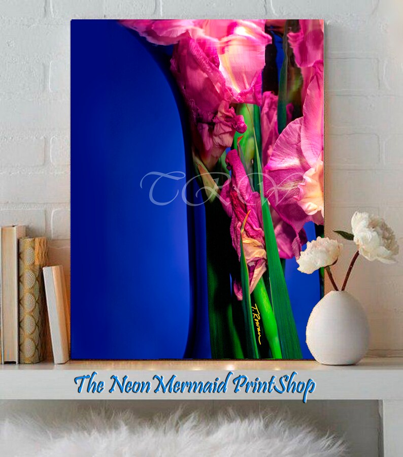 Pink Floral Print Large Floral Print Color Photo of Pink Flowers ...