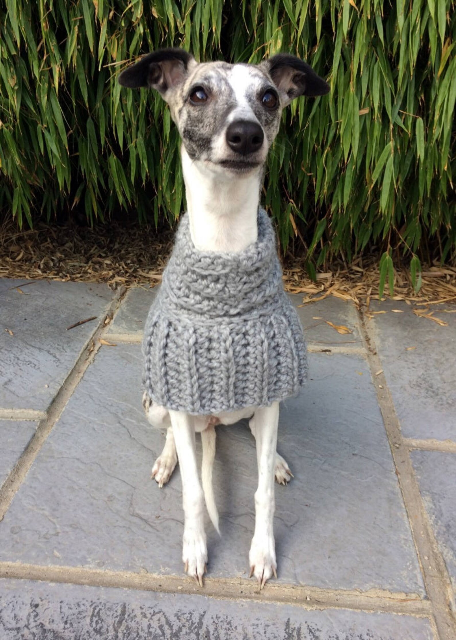 Whippet Sweater / Jumper in Silver Grey - Etsy.de