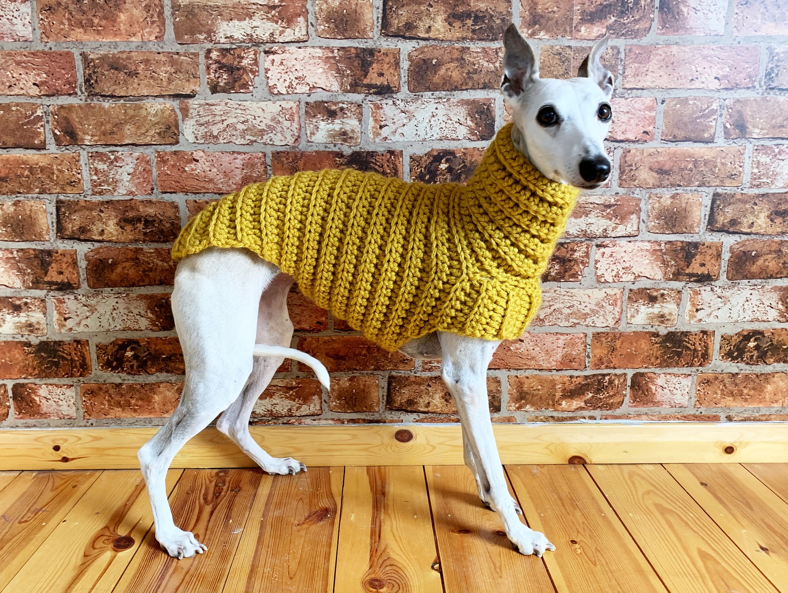 Whippet Sweater / Jumper in Yellow Mustard - Etsy