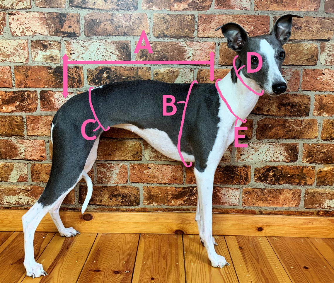 Whippet Sweater / Jumper in Yellow Mustard - Etsy