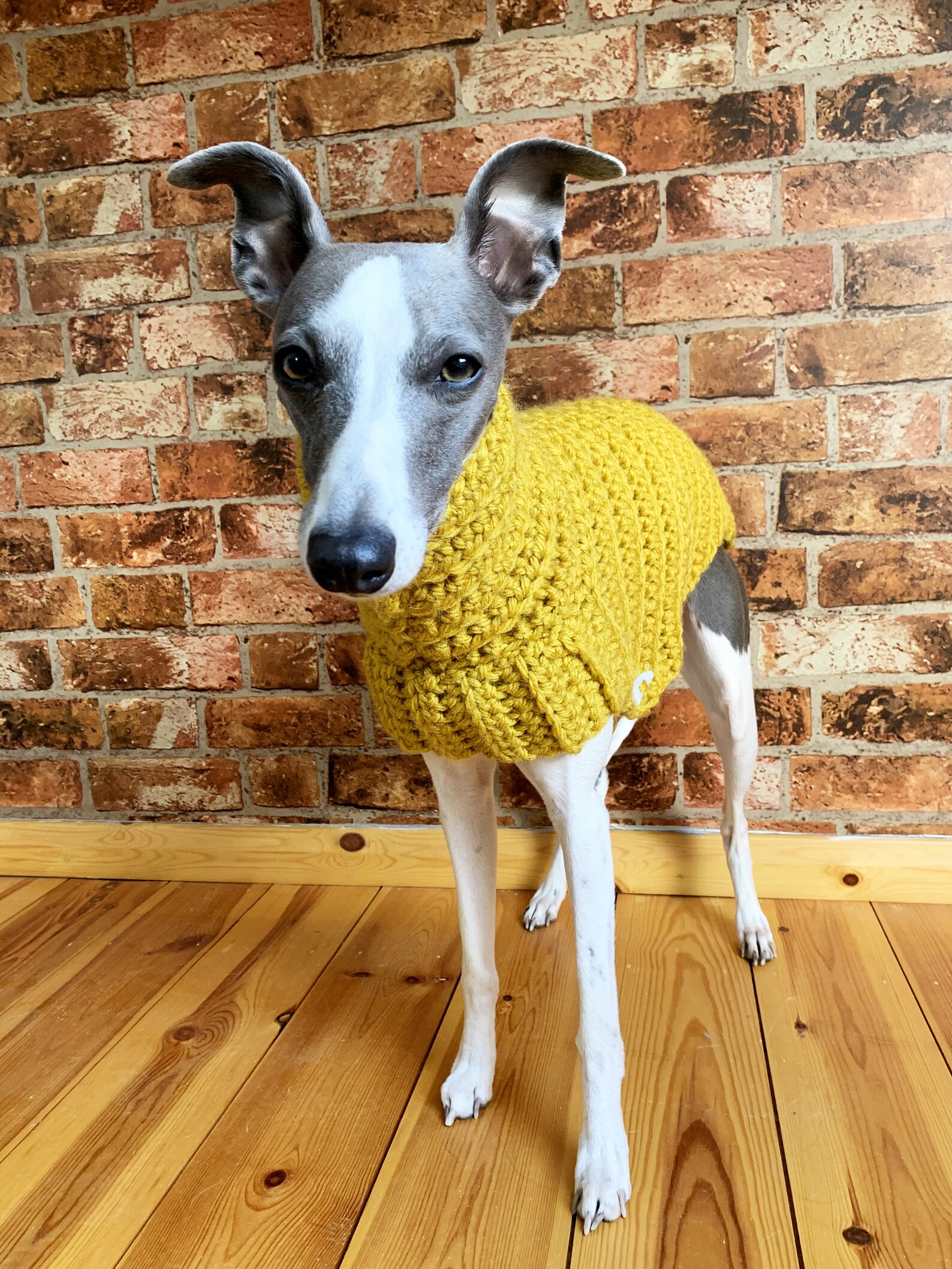 Whippet Sweater / Jumper in Yellow Mustard - Etsy
