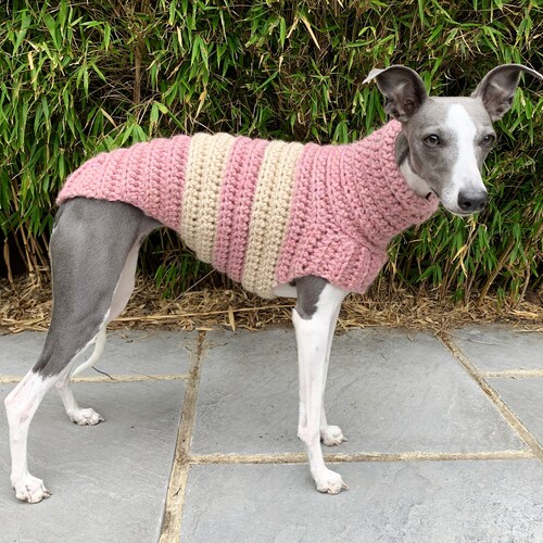Whippet Sweater / Jumper in Yellow Mustard - Etsy