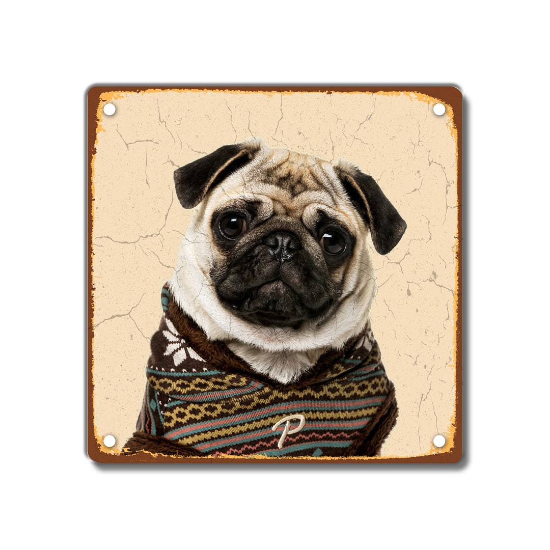 Pug Dog vintage Style Metal Sign Vieilli ou Uni 200 x 200mm 8 x 8 ...