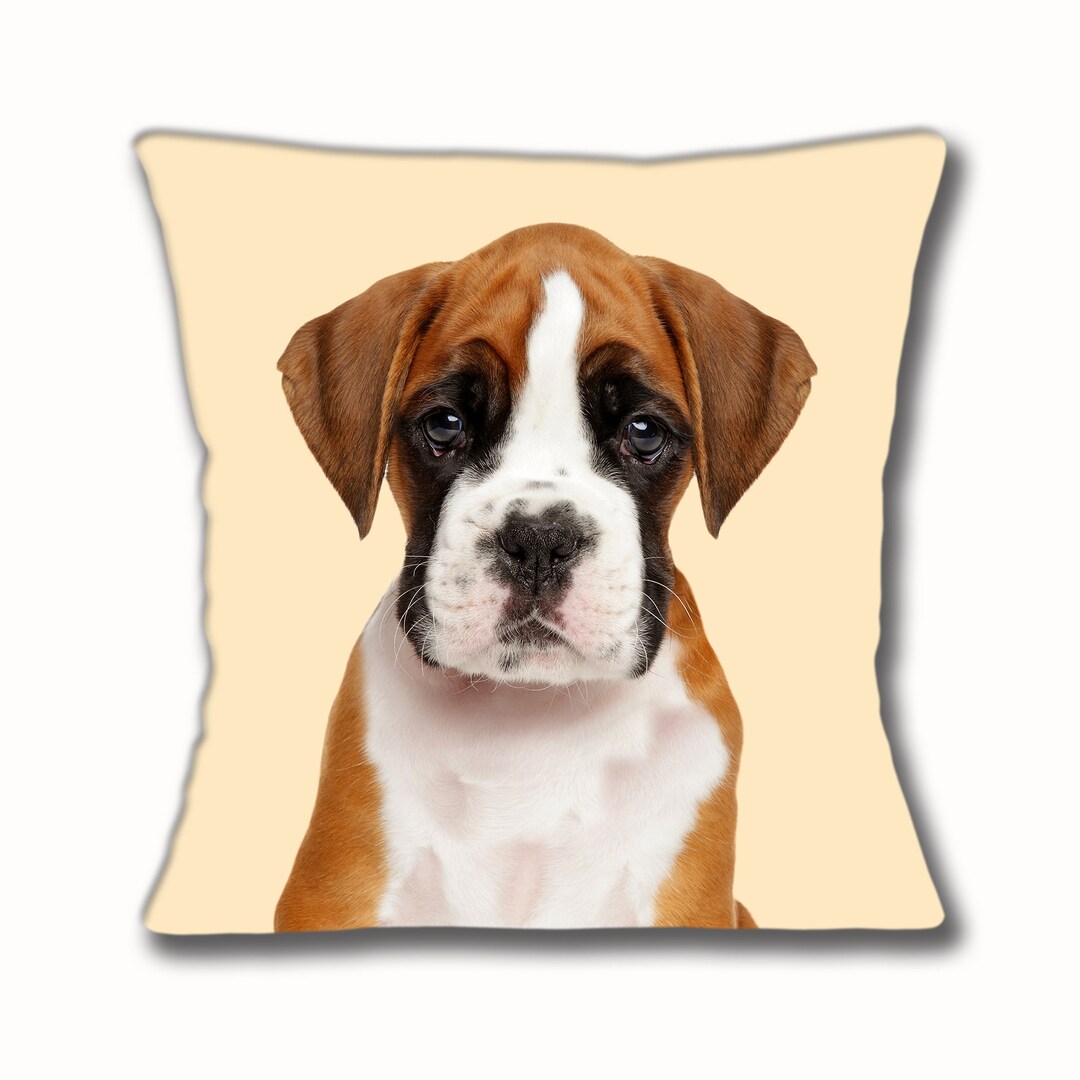 Boxer Dog Cushion Cover 16 Inch 40cm Cream Square Young Tan Brown White ...