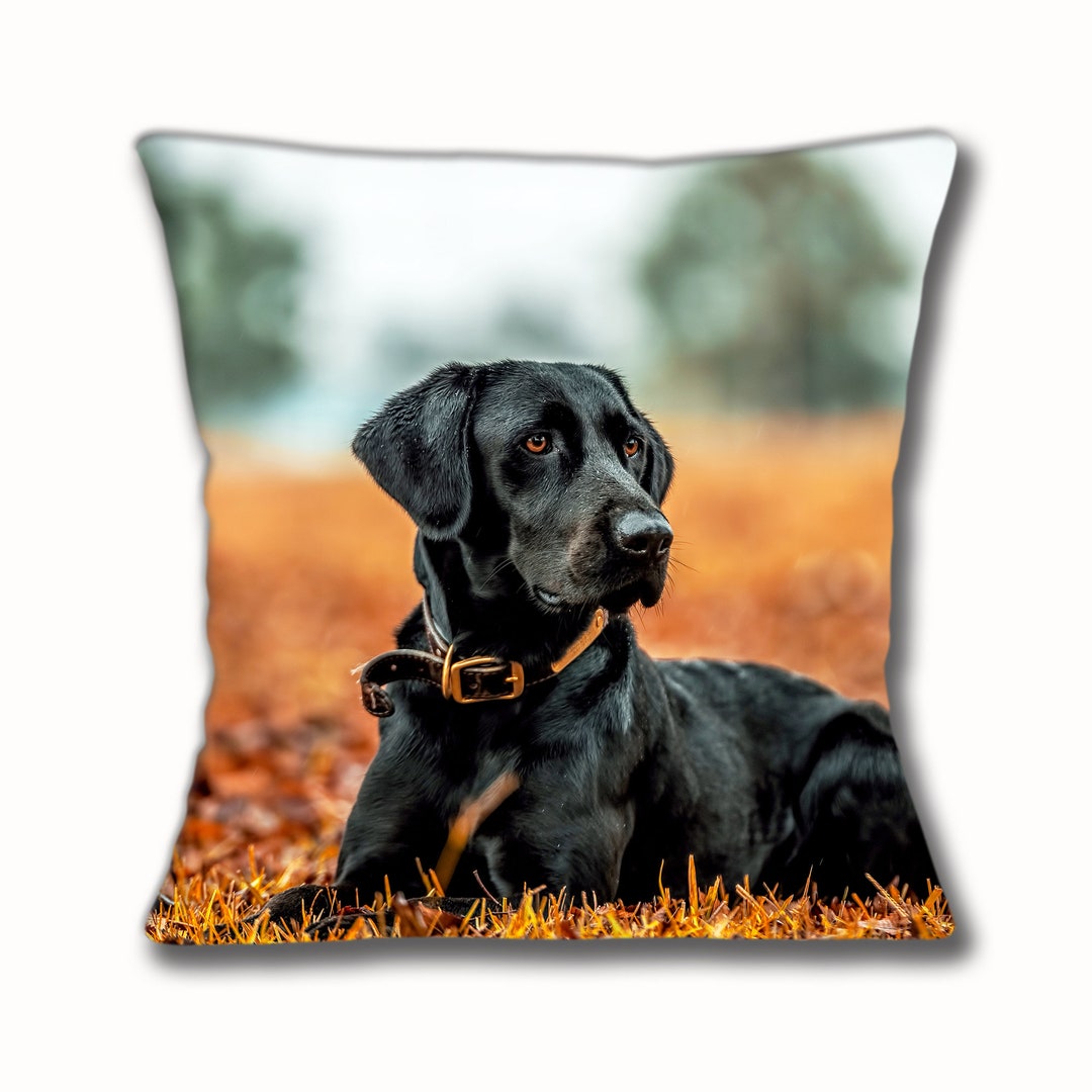 Black Labrador Cushion Cover Autumn Leaves Woodland Adult Dog 16 Inch ...